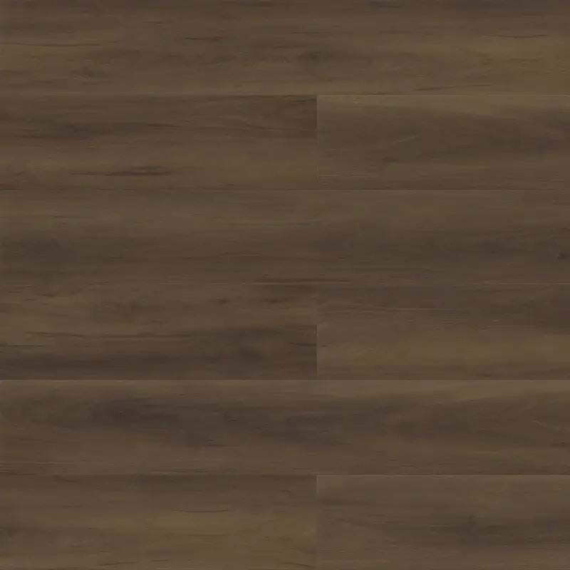Eagle - Paradigm - Performer Plus Collection | Flooring 4 Less Online