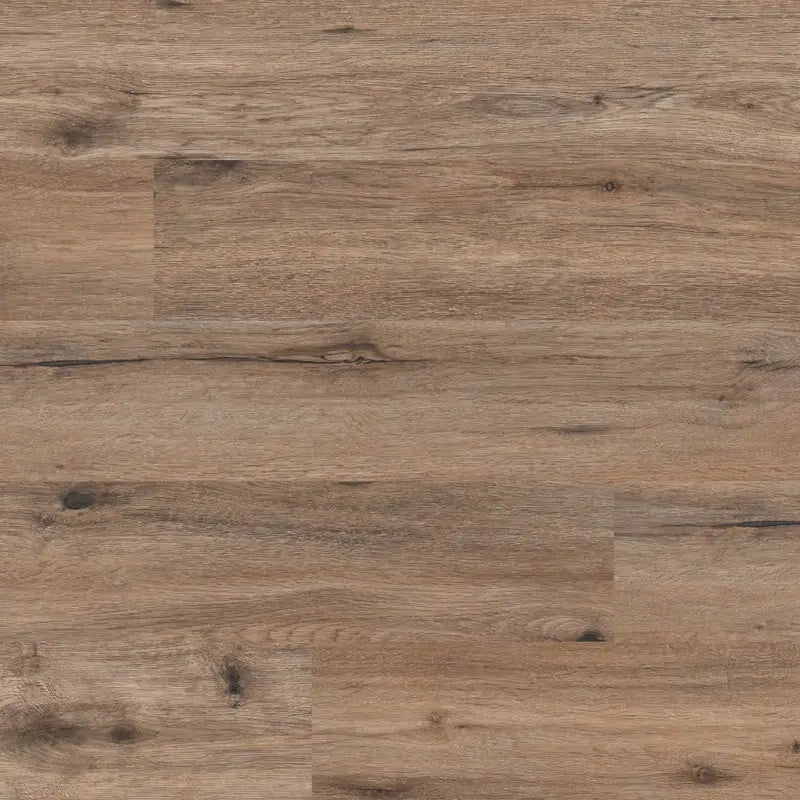 Fauna - MSI - Cyrus Collection | Flooring 4 Less Online