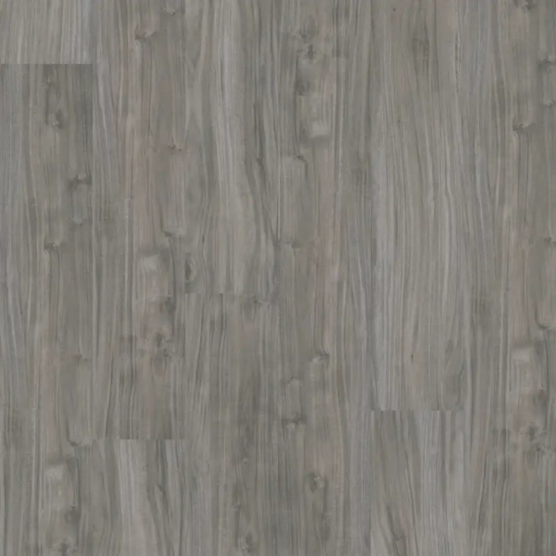 Graphite Acacia - TruCor - Alpha Collection | Flooring 4 Less Online