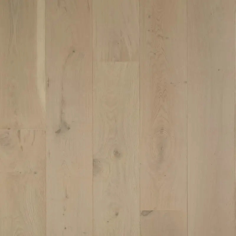 Infinity - Compass - Great Ocean Collection | Flooring 4 Less Online