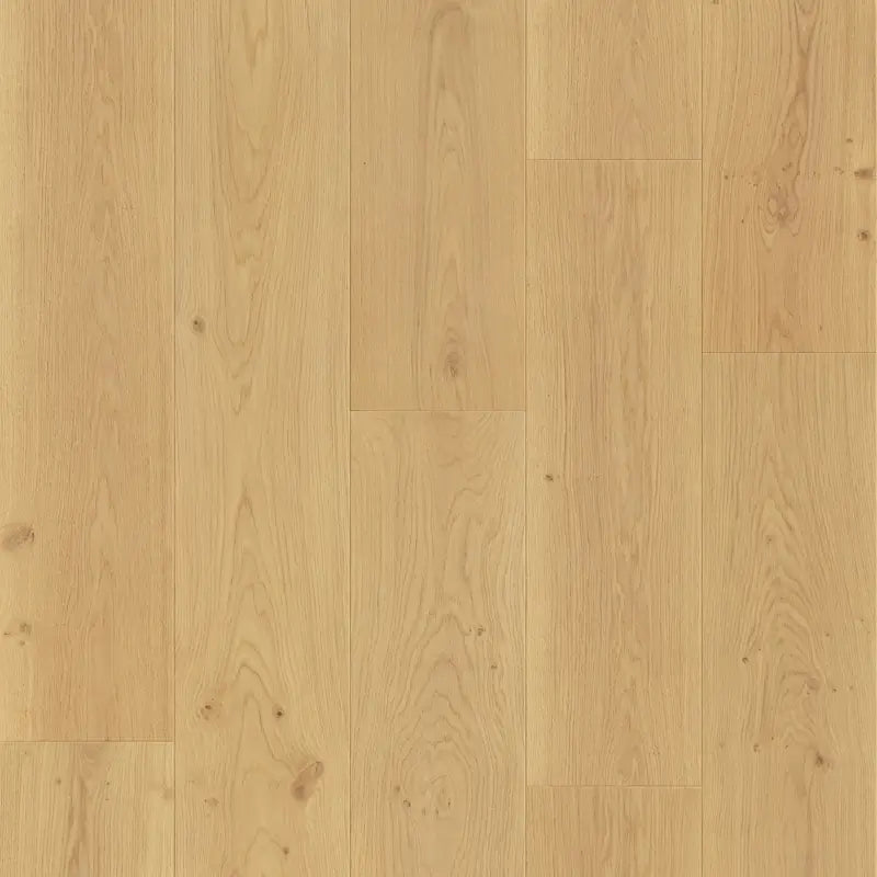 Jupiter - Compass - Constellation Collection | Flooring 4 Less Online