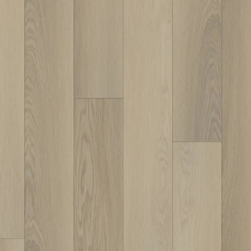 Knightsbridge - Happy Feet - Regency Collection | Flooring 4 Less Online
