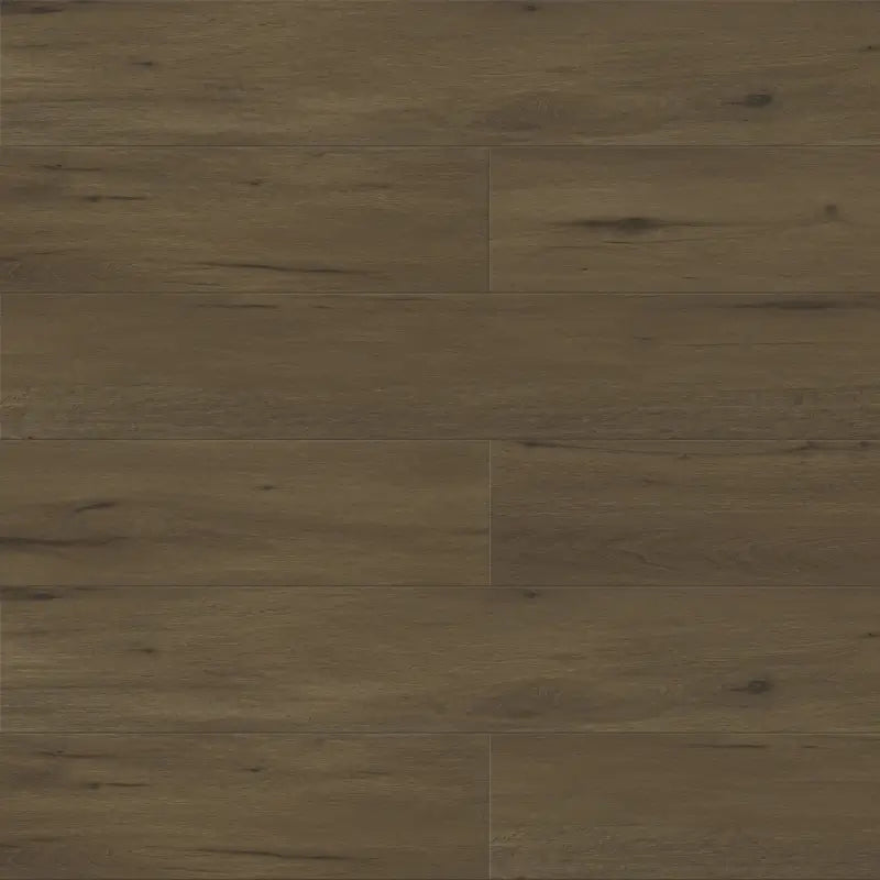 Robin - Paradigm - Performer Plus Collection | Flooring 4 Less Online