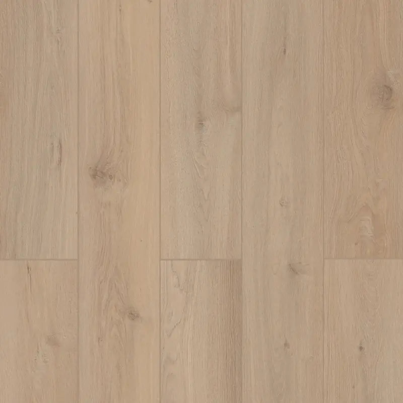 Sea Shell - Lions FLoor - Lone Star Spirit XL Collection | Flooring 4 ...