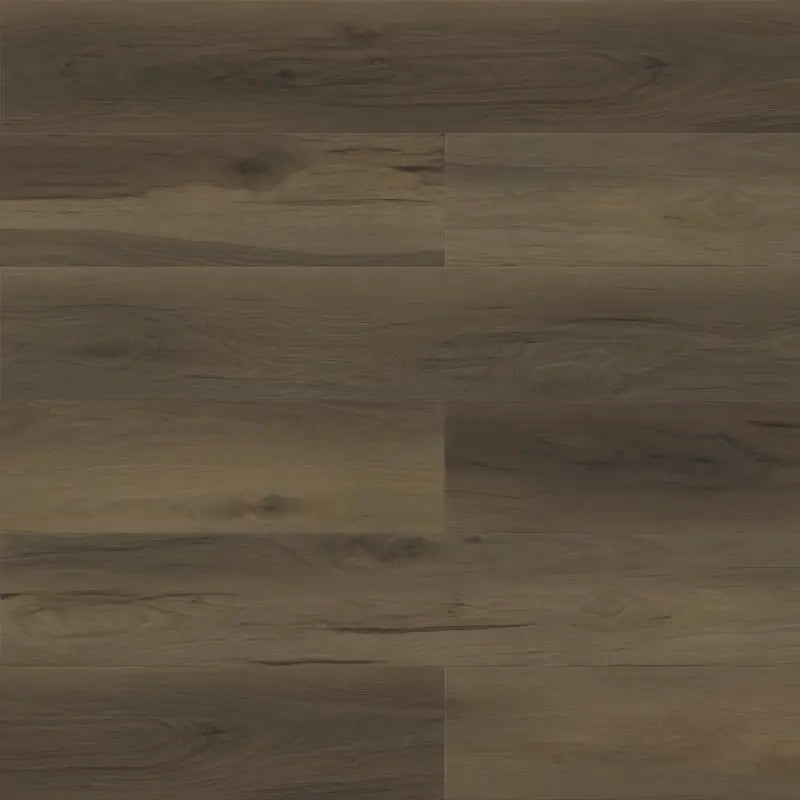Sparrow - Paradigm - Performer Plus Collection | Flooring 4 Less Online