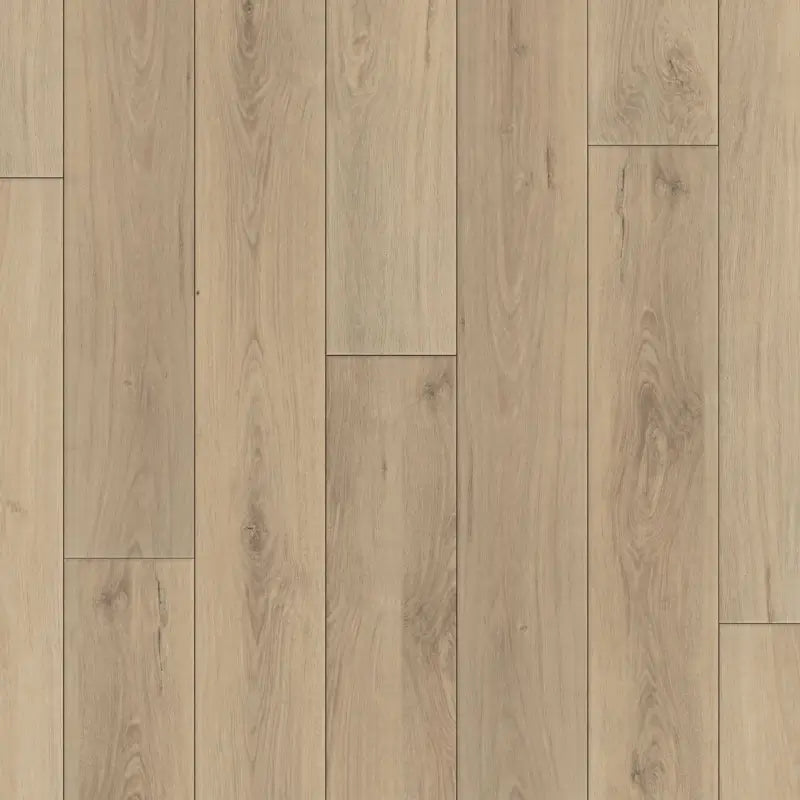 Windsor - Happy Feet - Regency Collection | Flooring 4 Less Online