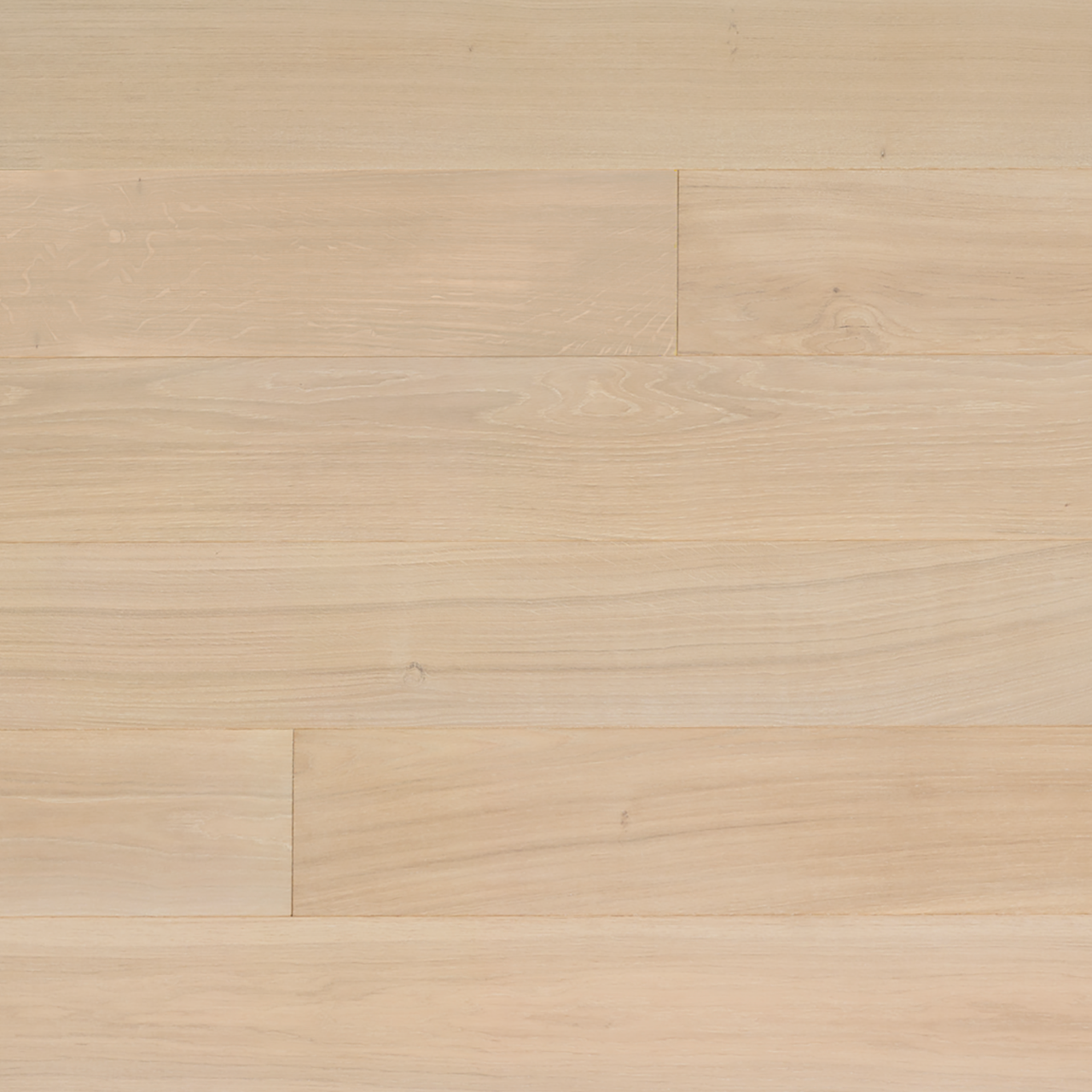 Bianco - Monarch Plank - Forte Collection | Flooring 4 Less Online