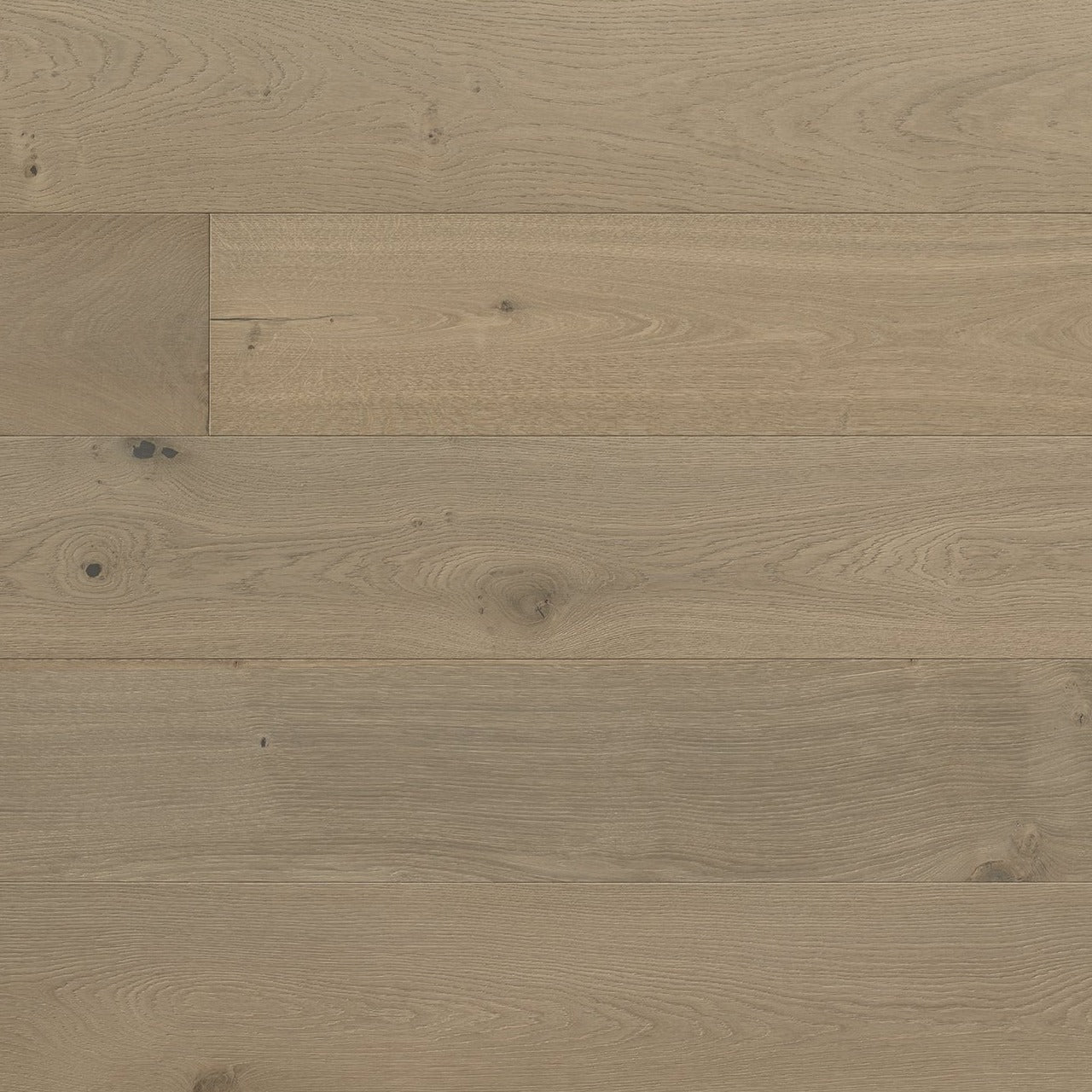 Renoir - Monarch Plank - Tableau Collection | Flooring 4 Less Online